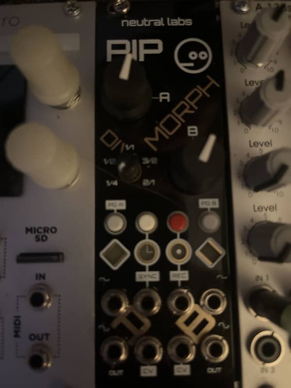 Neutral Labs Pip | Reverb