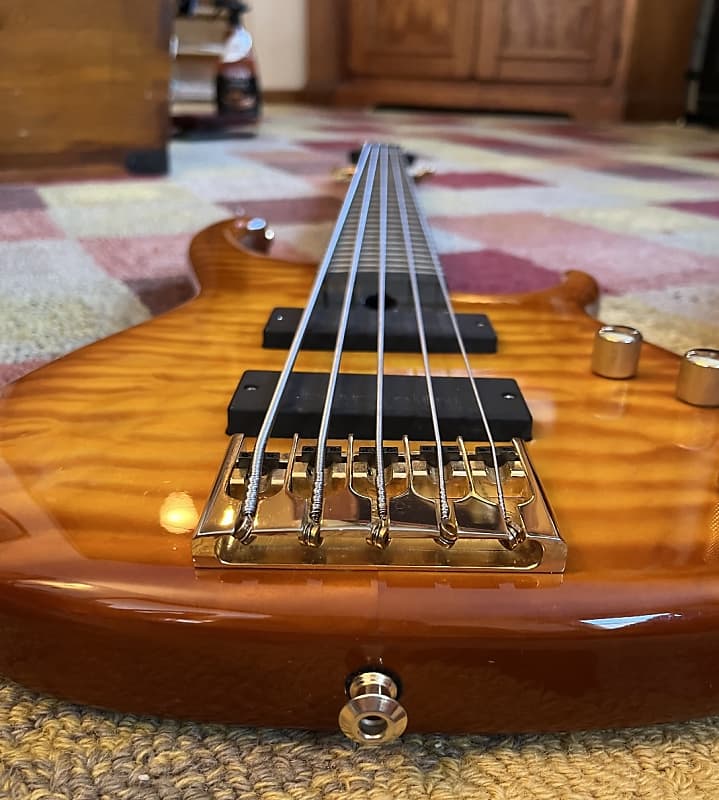 Modulus q5 2001 - Carbon Neck | Reverb