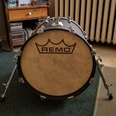 Remo Gold Crown Drum Kit | Reverb