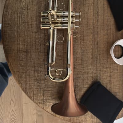 BAC Musical Instruments Handcraft Series Paseo Professional | Reverb