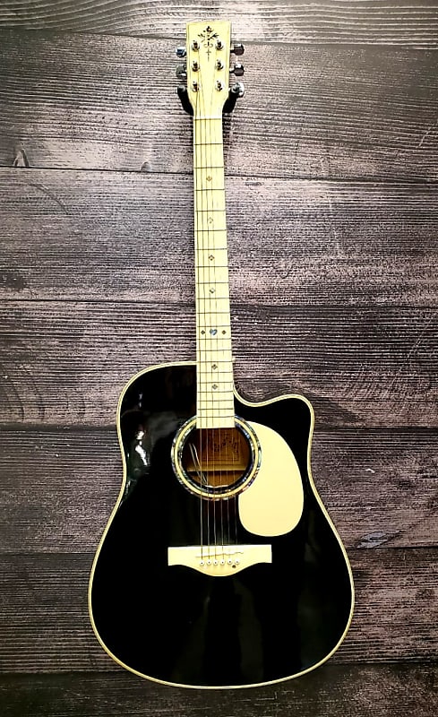 Esteban VL-100 Acoustic Electric Guitar (San Antonio, TX) | Reverb