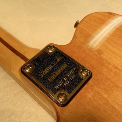 Samick Artist Series Tele 1995 Bubinga Gloss | Reverb