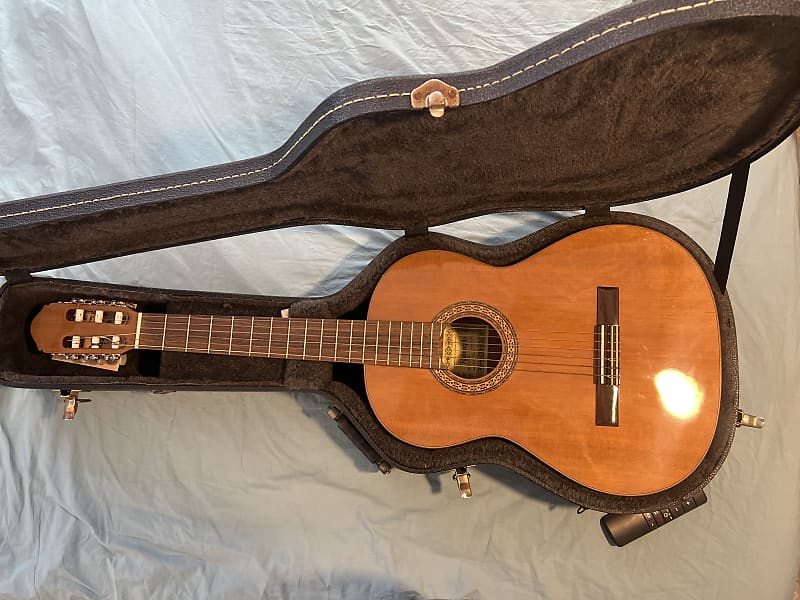 Raimundo Model 123 1980 | Reverb