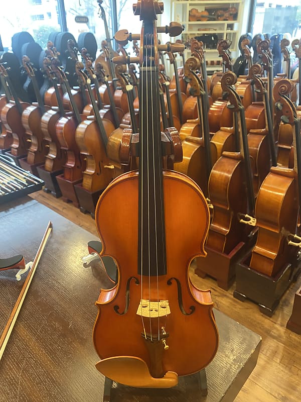 D Z Strad Violin - Model 220 - Violin Outfit with Open Clear | Reverb