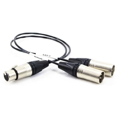 Rapco 1-Foot Stereo XLR Y-Cable compatible with Rode NT4 | Reverb