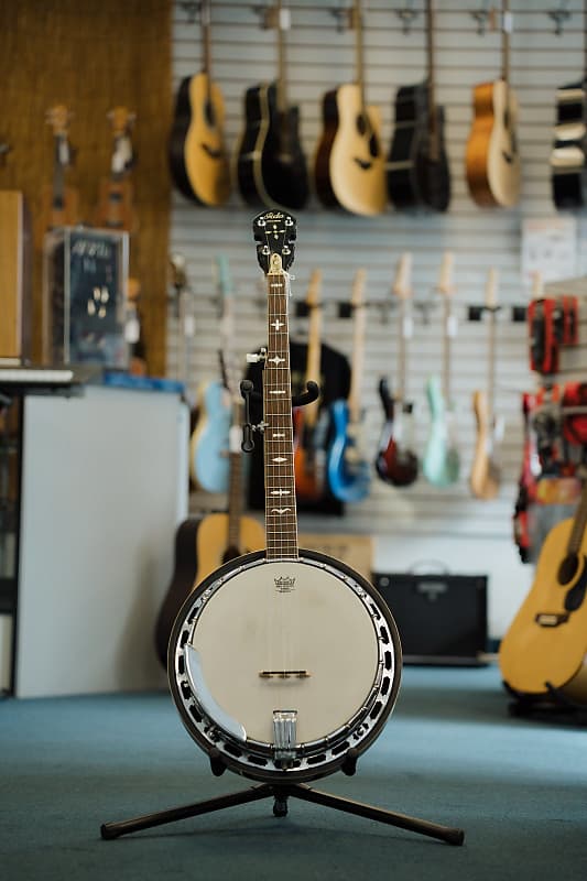 Aida 5 string banjo with hard case (used) | Reverb