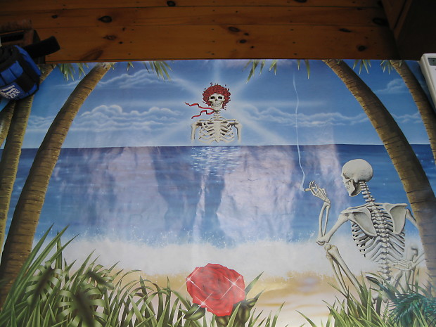 Sunshine Daydream, Vintage Grateful Dead Poster, Art by Gary | Reverb