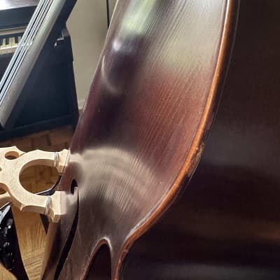 Vienna Strings Upright/Double Bass | Reverb