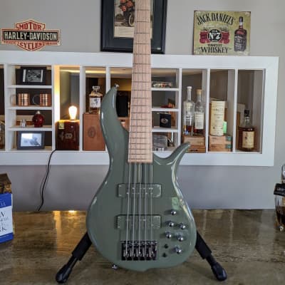 FBass BN5 Deluxe: NEW Sage Green Color! | Reverb