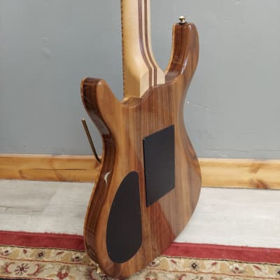 Kiesel Custom 7 String Electric | Reverb