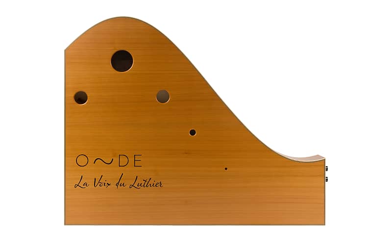 La Voix Du Luthier Onde Instrument Amplifier [USED] | Reverb