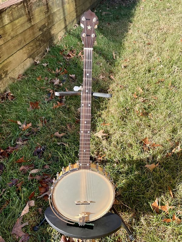 Bart Reiter Standard Banjo with case | Reverb