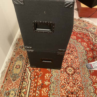 SWR Working Man Pro (w/2x10) Combo | Reverb