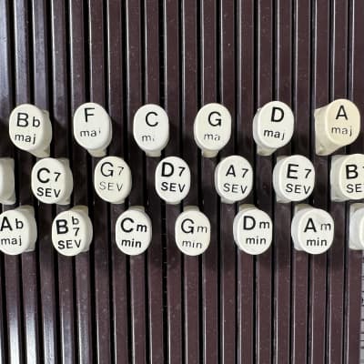 Chromaharp electric autoharp electrified noise instrument The | Reverb