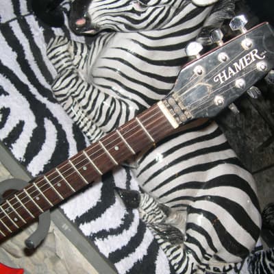 Hamer PROTOTYPE * ELECTRIC GUITAR | Reverb