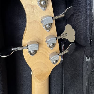 Alien Audio Constellation DP5 2024 - Gold | Reverb