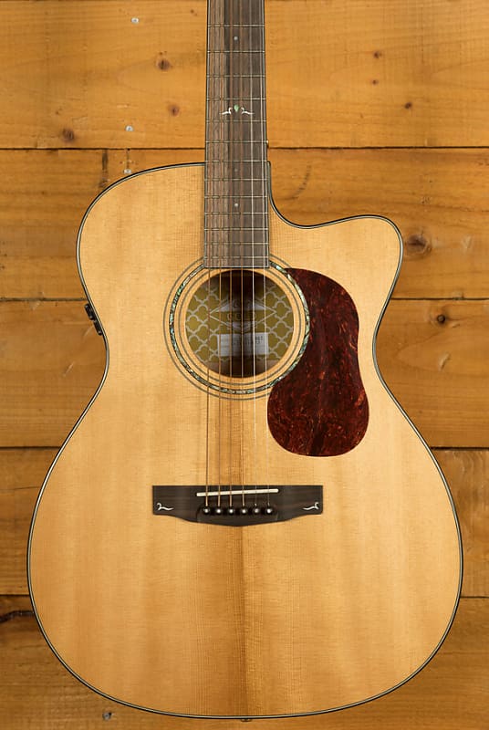 Cort Acoustics Gold Series | Gold-OC6 - Natural Glossy | Reverb UK