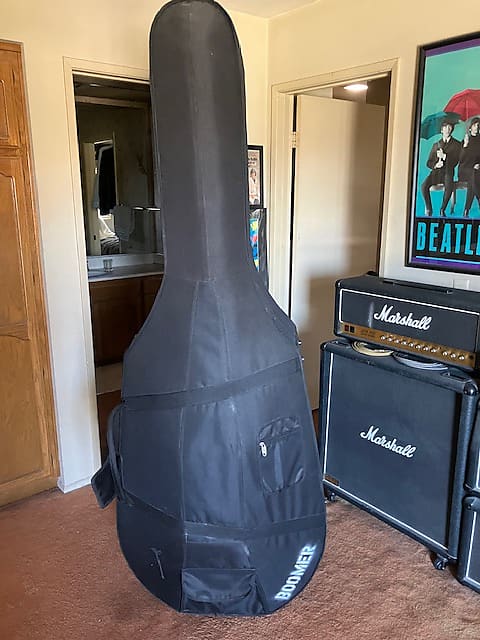 3/4 Upright Bass Case | Reverb
