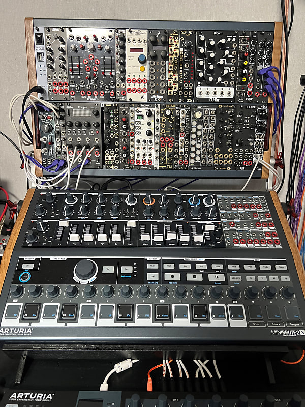 Arturia Minibrute 2S + Rackbrute 6u + 29 modules | Reverb UK