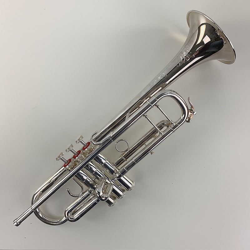 Eastman ETR824S Step Up Silver 800 Trumpet | Reverb
