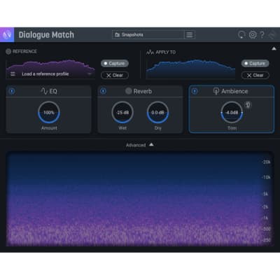 iZotope RX Post Production Suite Software Bundle (Upgrade | Reverb
