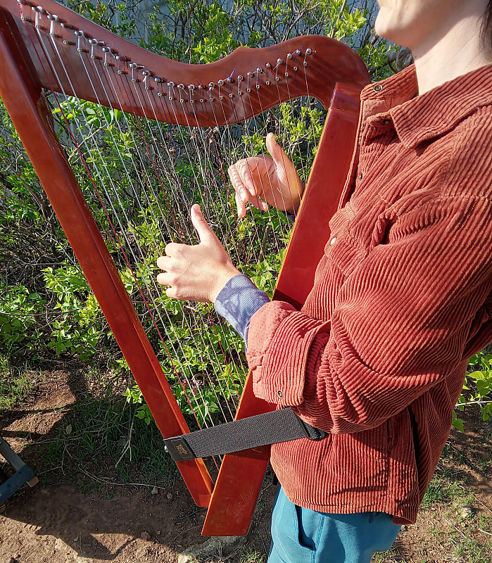Handmade 26-String Harp by Gustavo Arias | Reverb