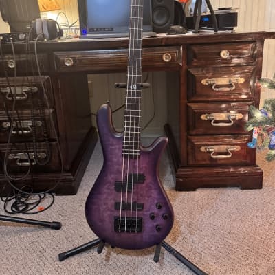 Spector NS 2000/4 Early 2000's Black Trans | Reverb