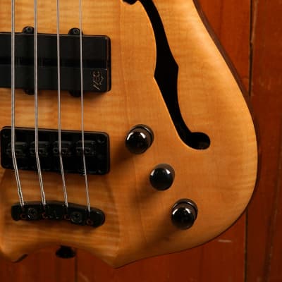 Warwick Infinity Semi-Hollow - Natural | Reverb