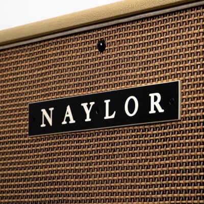 Naylor Electra-Verb 38 *Rare 2x12 Model* Dallas, Texas Era | Reverb