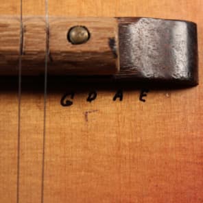 Vintage Lindell Mandolin(Electric) | Reverb