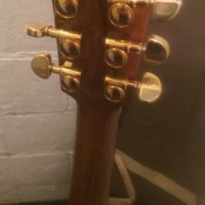 TOM BEDELL TB-18-G, ALL SOLID WOOD ACOUSTIC GUITAR, GIG BAG | Reverb