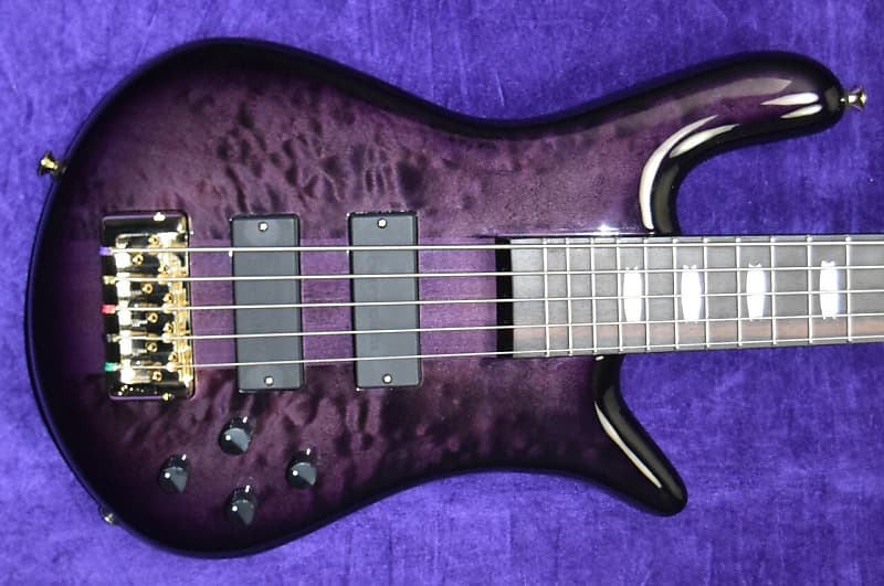 Spector Euro 5 LT, Violet Fade Gloss w/ Ebony | Reverb