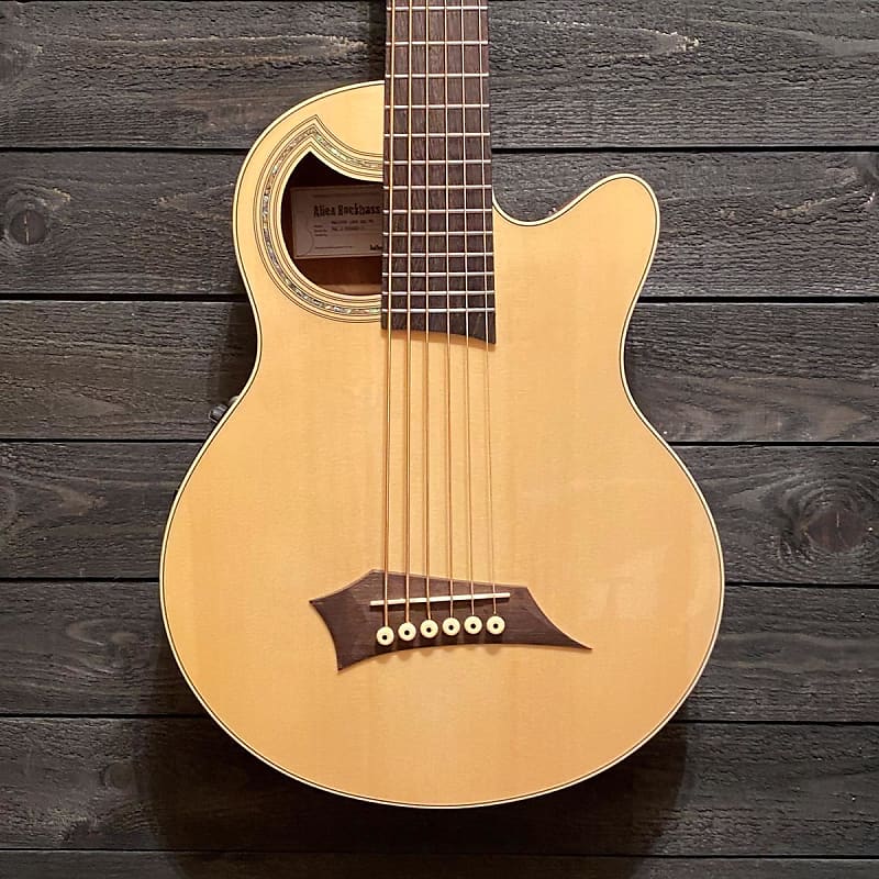 Warwick Alien 6-String Acoustic Electric Bass Guitar w/ Case | Reverb
