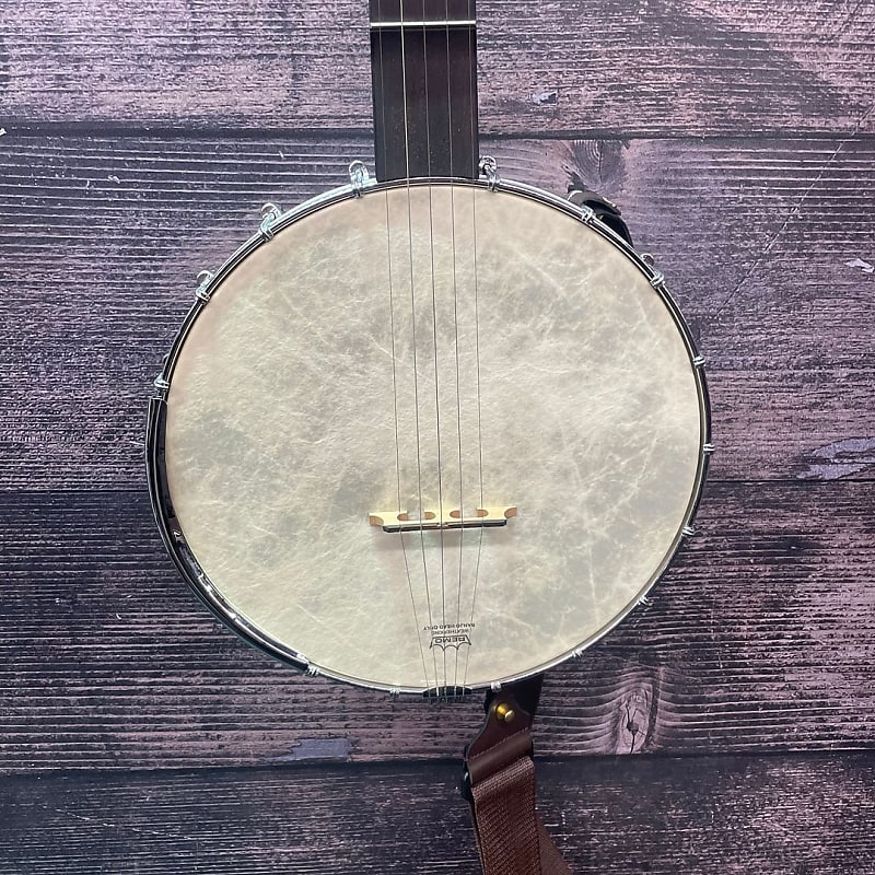 Gold Tone CC-OT Banjo (Hollywood, CA) | Reverb