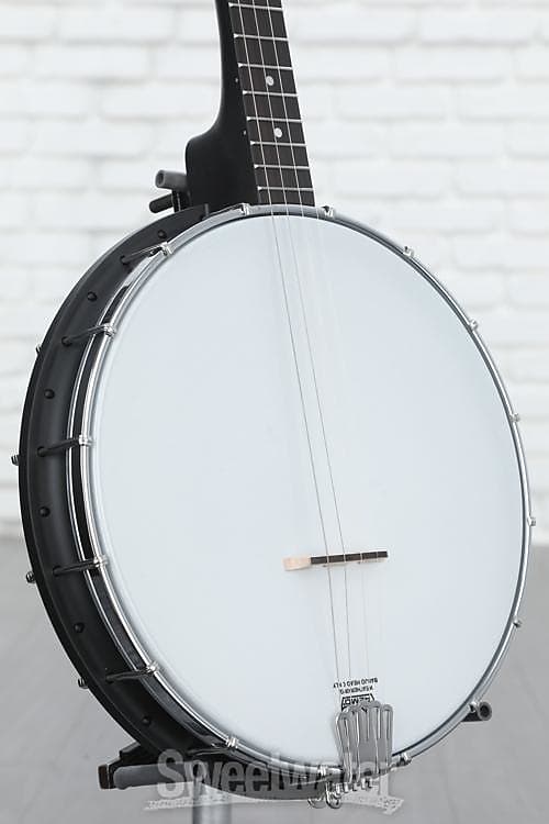 Gold Tone AC-4 Acoustic Composite 4-String Open-back Tenor | Reverb