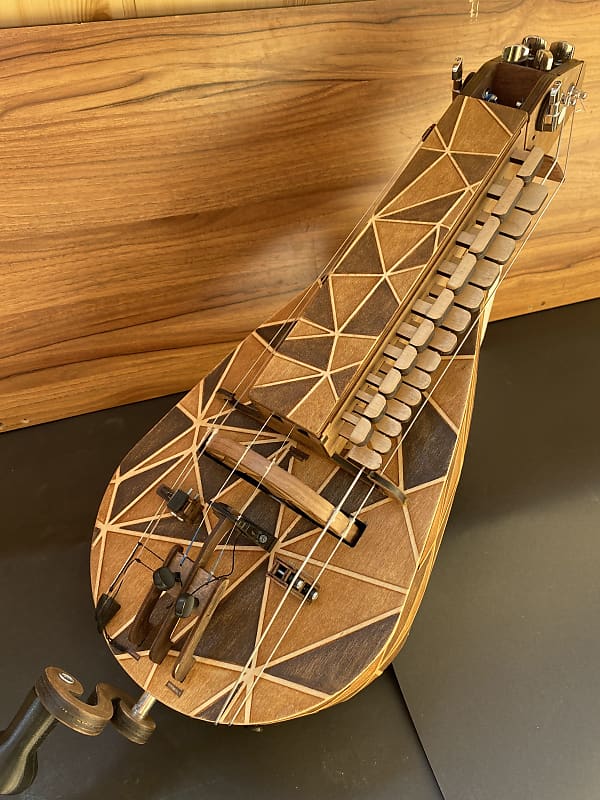 Hurdy-Gurdy With Pickup - 24 Keys - 6 string - | Reverb Canada