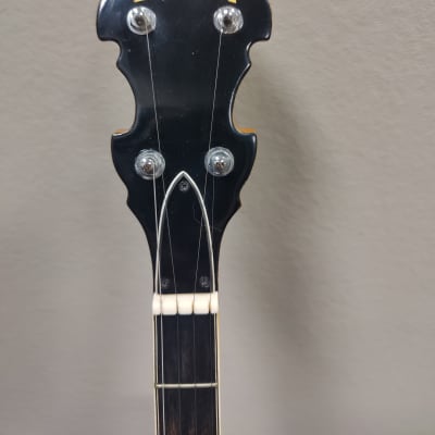 Delta 5-string Banjo | Reverb