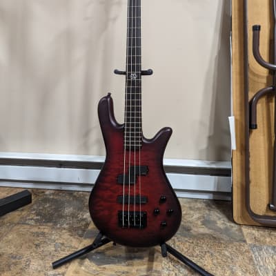 Spector NS 2000/4 Early 2000's Black Trans | Reverb