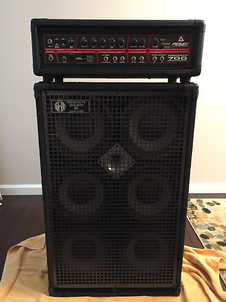 SWR Goliath Sr. 6x10 | Reverb