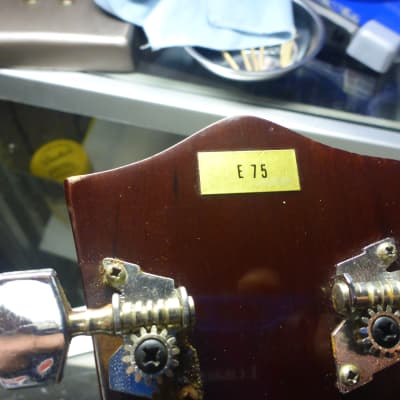 Encore E 75 5 String Banjo | Reverb