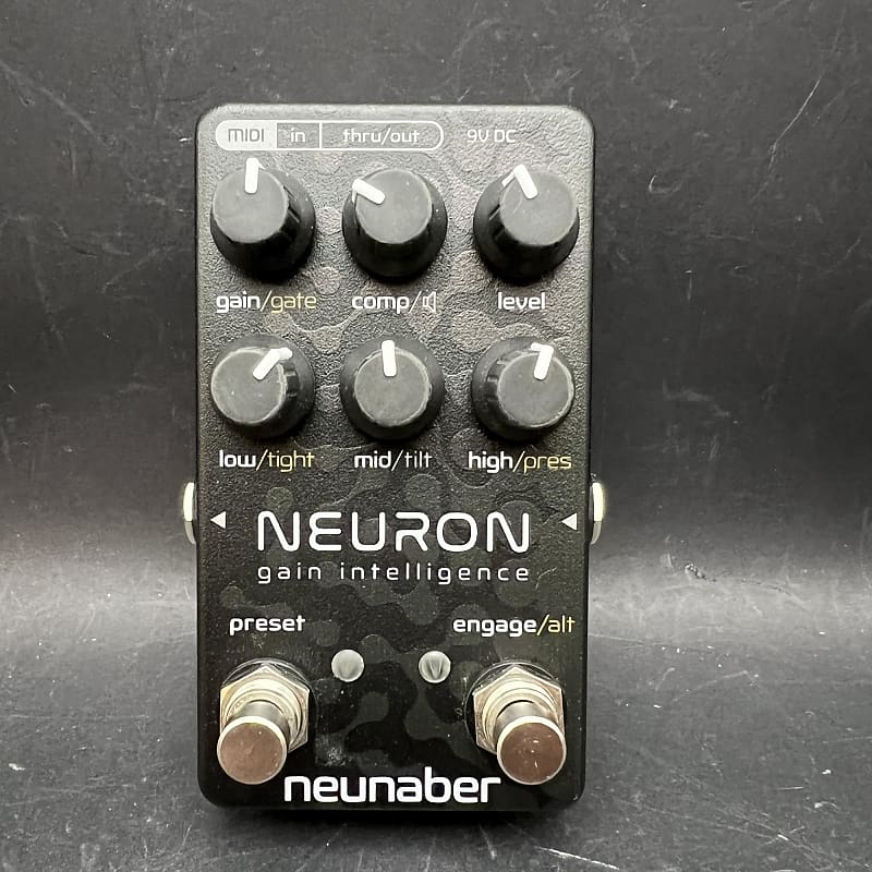 Neunaber Neuron Amp Modeler | Reverb