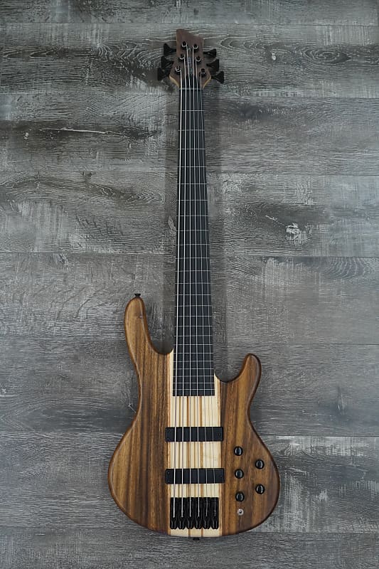 AIO 6W 6-String Fretless Bass - Walnut 008 | Reverb