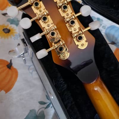 Mastercraft F-Style Mandolin 2019 Sunburst with hardshell | Reverb