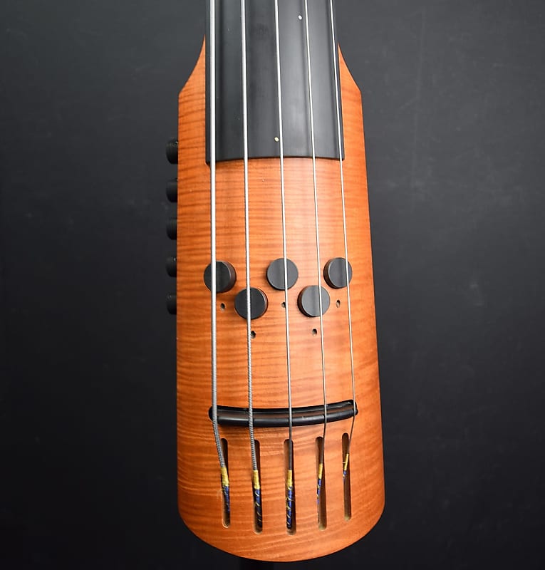 NS Design EU5, 5-String Electric Upright Bass with 18 Volt | Reverb
