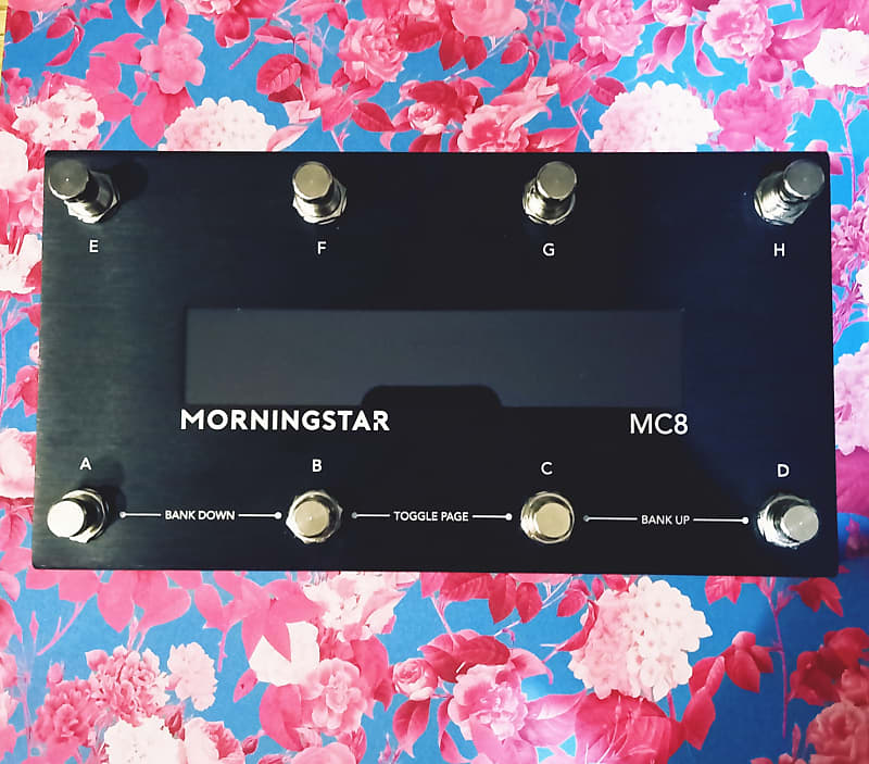 Morningstar MC8 | Reverb