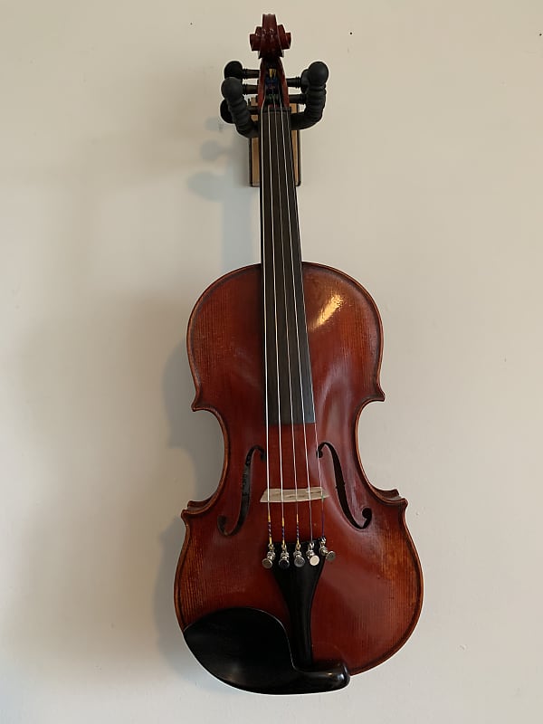 5 string violin Eastman VL305/ 2019 red/brown Randolin | Reverb