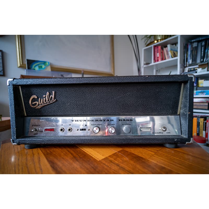 Vintage Guild Thunderstar Bass Amp | Reverb