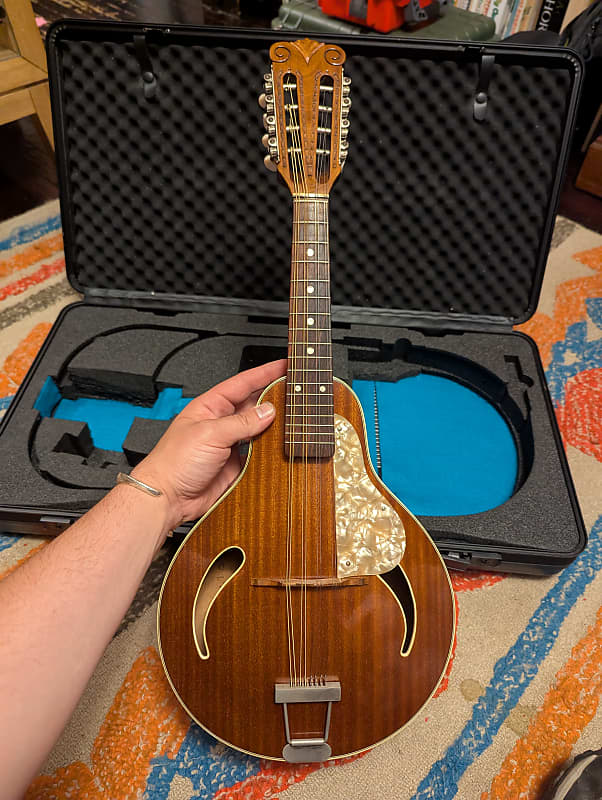 1950s-1960s Hofner 545 Vintage Archtop Cats Eye Mandolin | Reverb UK