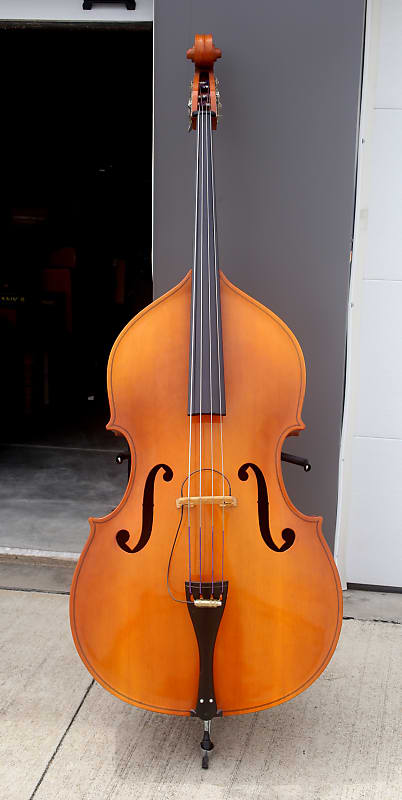 Engelhardt S1 upright bass with bag, pickup, stand and bow | Reverb