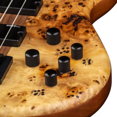 Dean Edge Select 4-String Bass, Burled Poplar, E4 SEL BRL, | Reverb